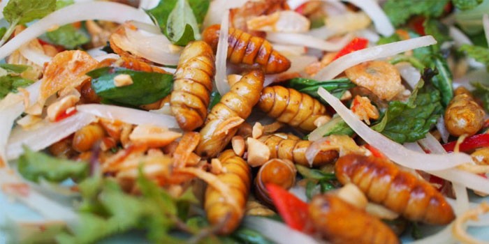 Traditional Australian Foods for Dinner that Make You Hungry – Smita Dey